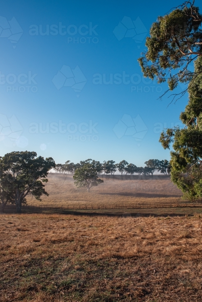 Image of morning rural farm scene - Austockphoto