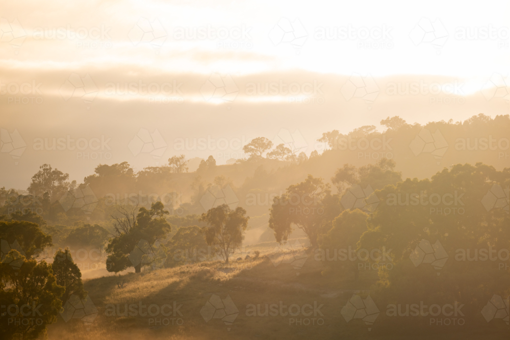 Image of Morning sunlight beaming across dusty Australian landscape ...