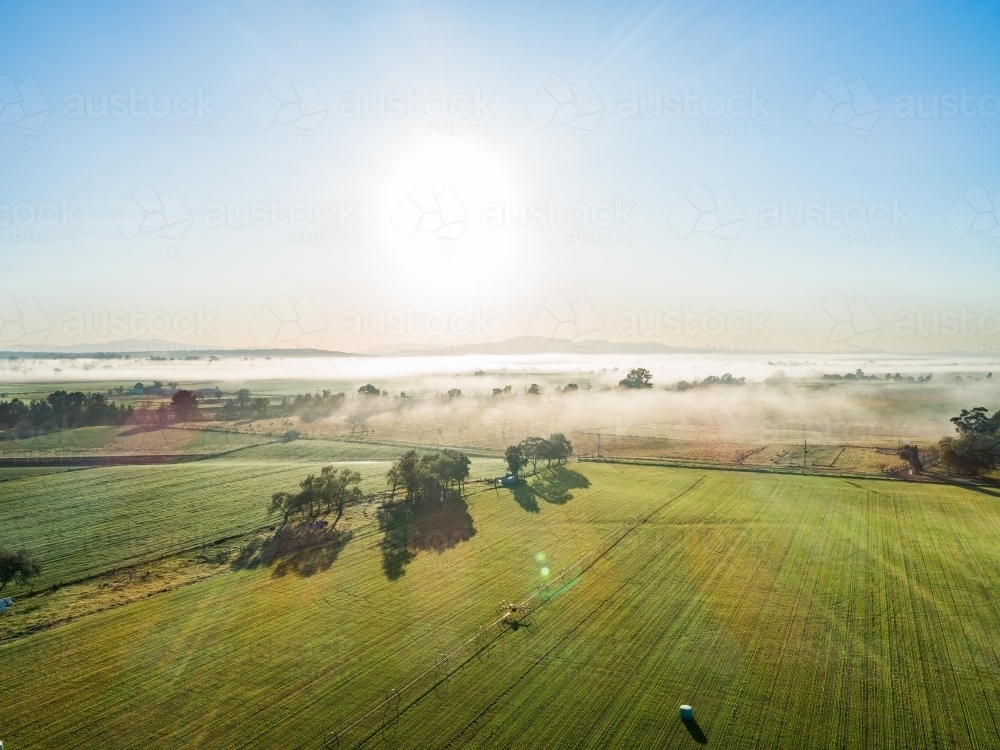 Image of Morning sunshine over country scene of silage bales in farm ...