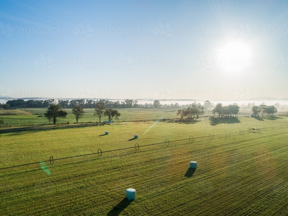 Image of Morning sunshine over country scene of silage bales in farm ...