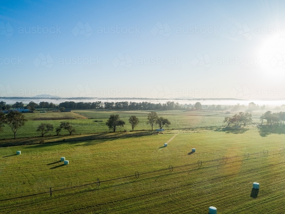 Image of Morning sunshine over country scene of silage bales in farm ...