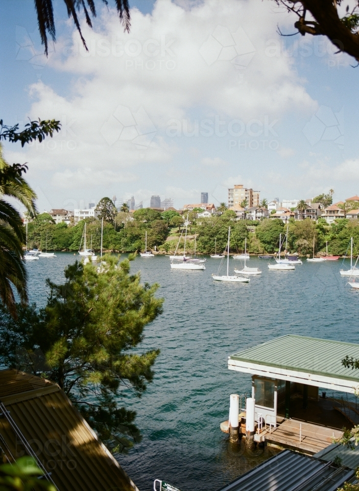 Image of Mosman South Wharf, dotted with boats and yachts - Austockphoto