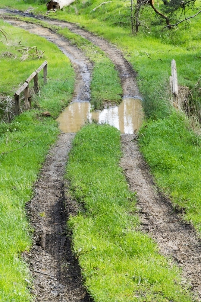 Image of Muddy wheel tracks winding through puddles and green grass ...