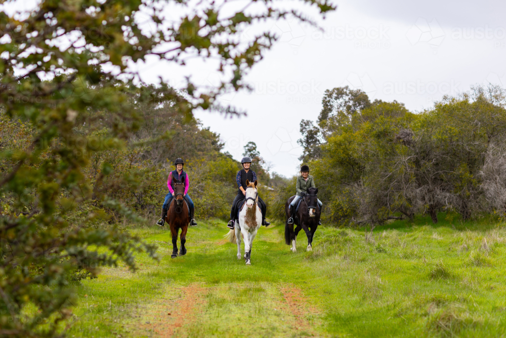 Image of Multi-generation women riding horses along a narrow dirt path ...