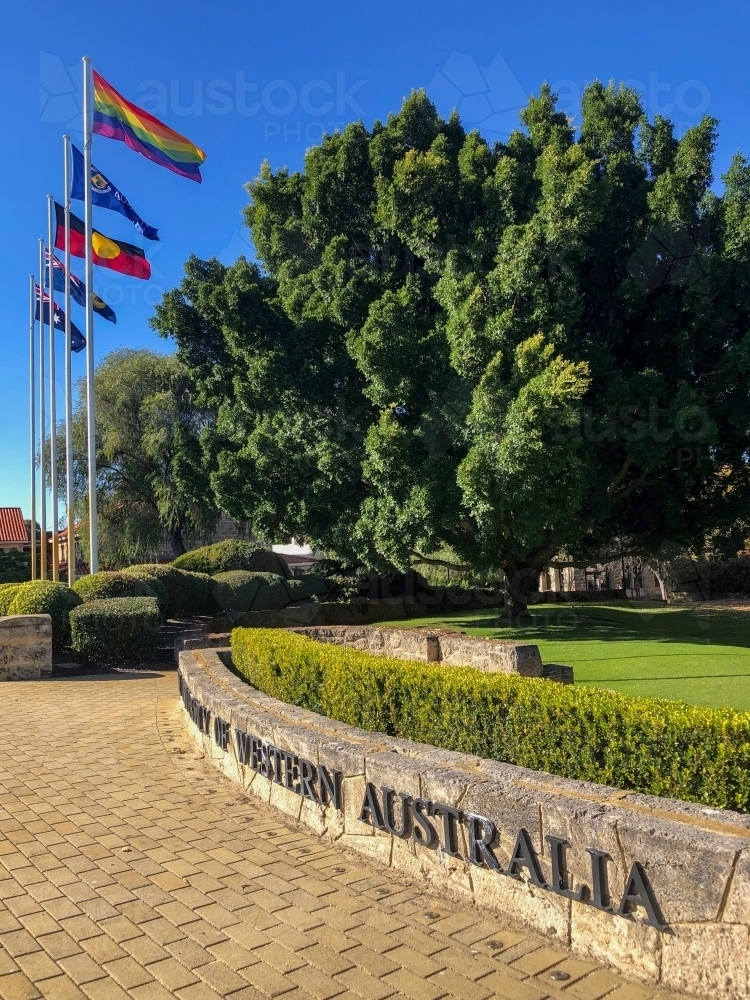 Image of Multiple flags flying on flagpoles out front of the University ...