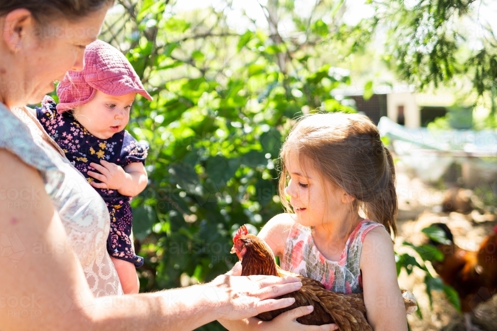 Image of Mum in her fifties with daughter and grandchild patting hen at ...