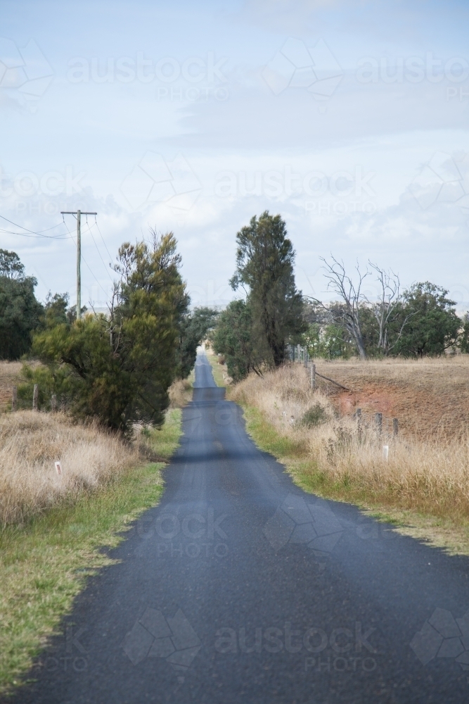 Image of Narrow rural country road - Austockphoto