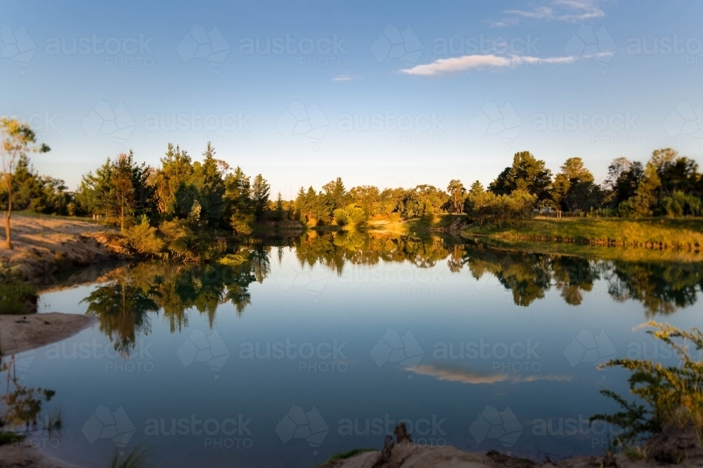 Image of Natural spring with trees - Austockphoto