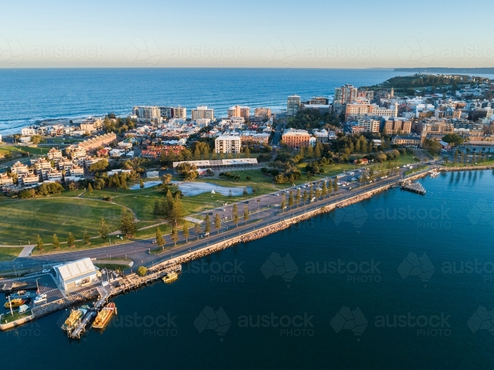 Image of Newcastle foreshore with park and city behind seen from aerial ...