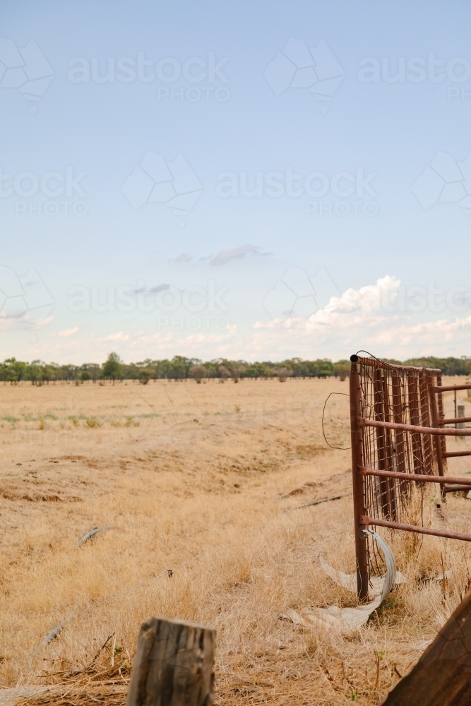 Image of Old cattle fencing on abandoned rural Australian country ...