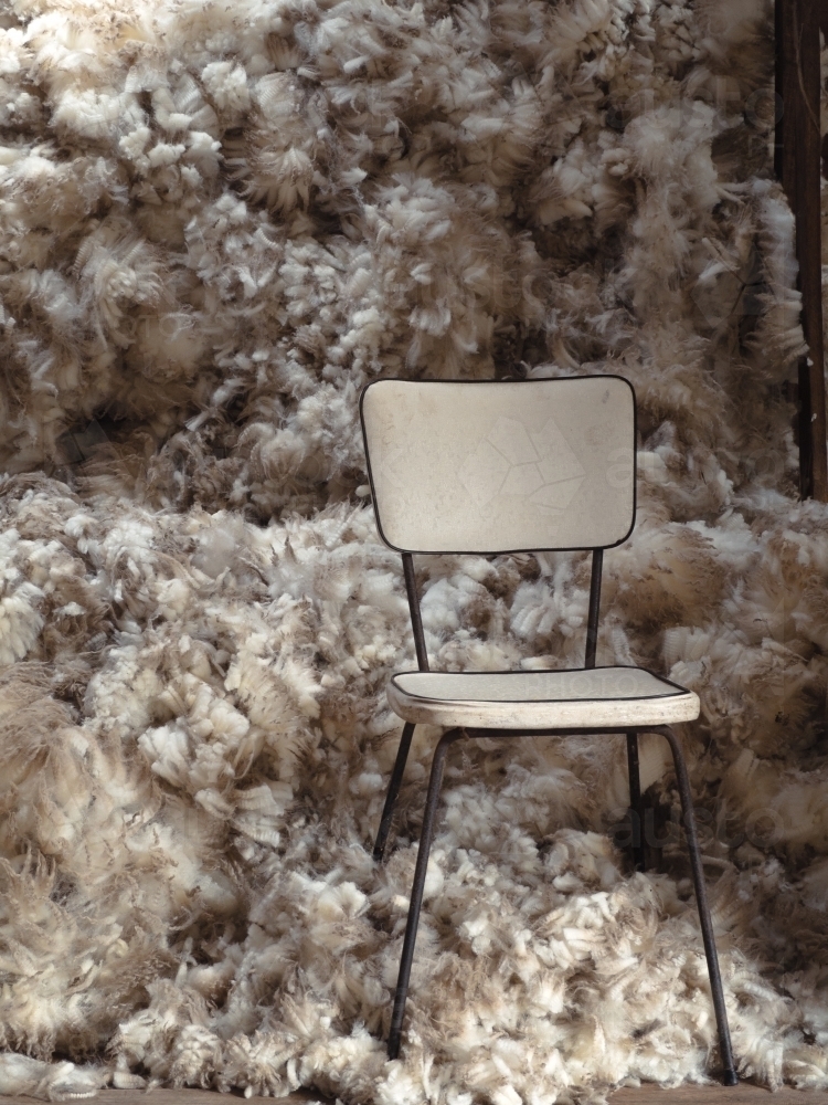 Image of Old chair in front of wool pile at shearing time - Austockphoto