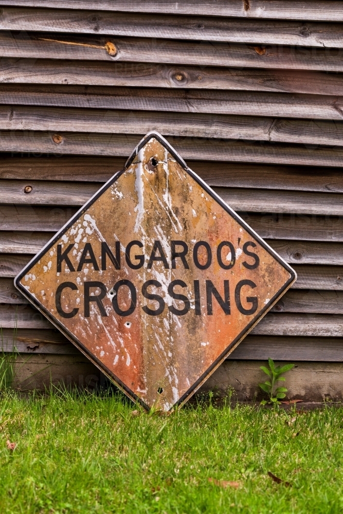 Image of Old "Kangaroos crossing" sign sitting against wooden wall ...