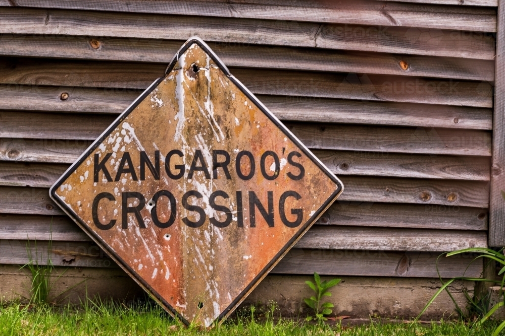 Image of Old "Kangaroos crossing" sign sitting against wooden wall ...