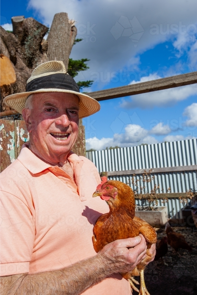 Image of Old man holding a chicken - Austockphoto