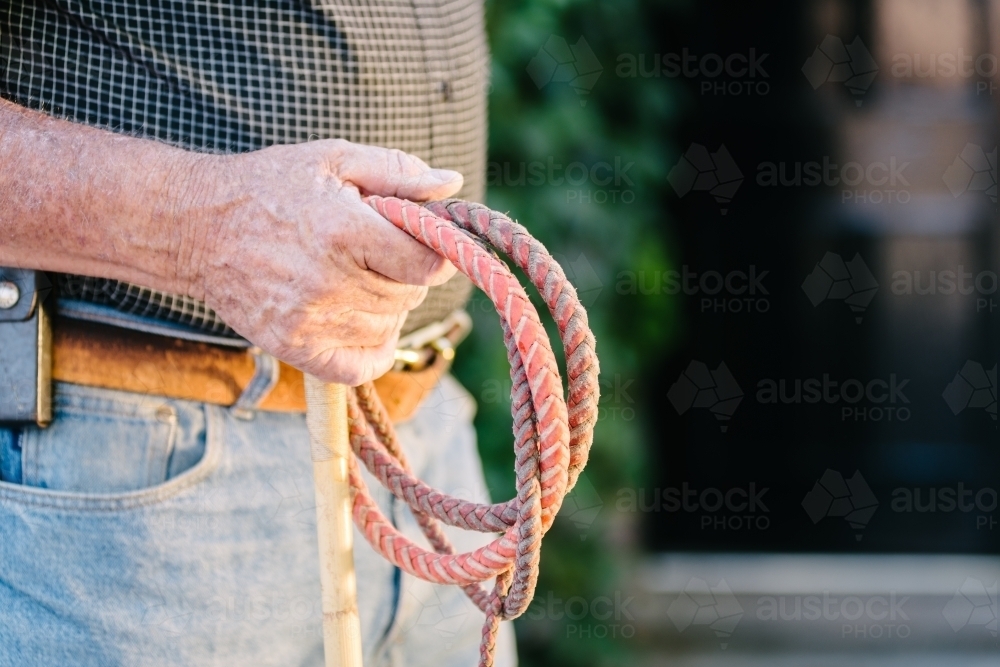 Image of old retired cowboy holding a whip - Austockphoto