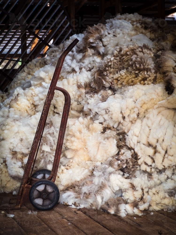 Image of Old rusted trolley and big wool pile in wool shed during ...