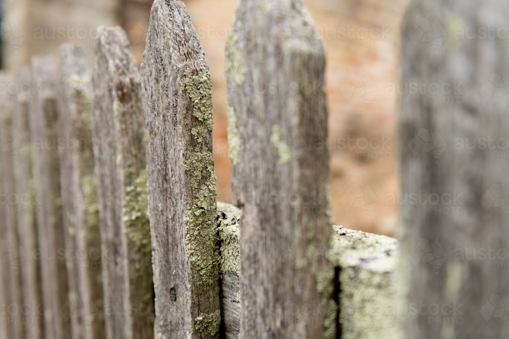Image of old weathered timber fence - Austockphoto