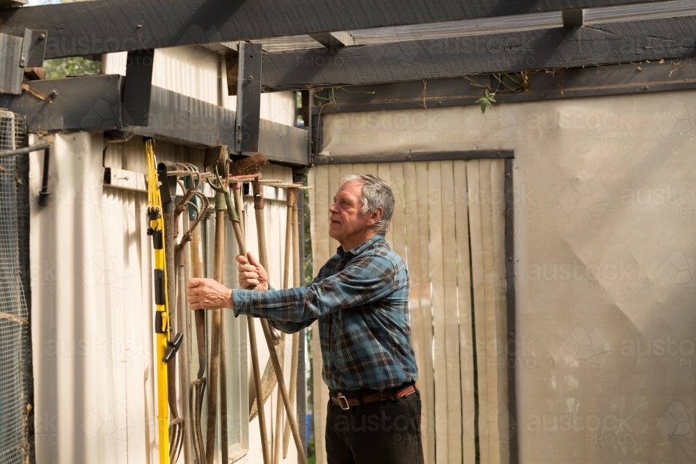 Image of Older man reaching for garden tools - Austockphoto