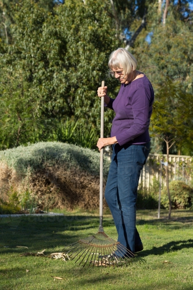 Image of Older woman raking lawn in backyard - Austockphoto