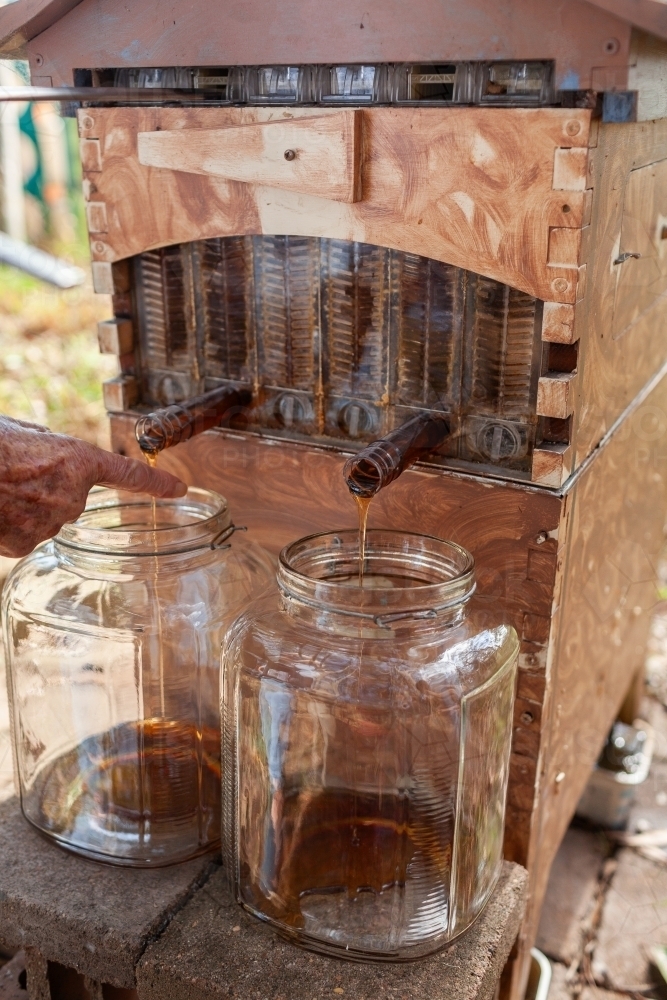 Image of Older woman’s hand tasting fresh honey from the hive ...