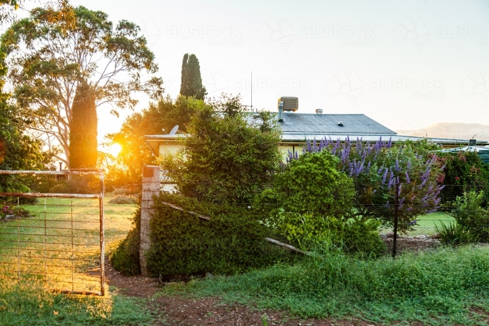 Image of Open farm gate at sunrise to homestead yard and garden ...