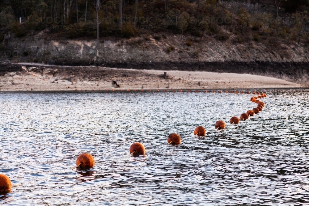 Image of Orange buoys in a line floating on water of dam making barrier ...