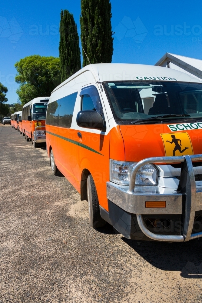 Image of Orange school busses lined up outside school - Austockphoto