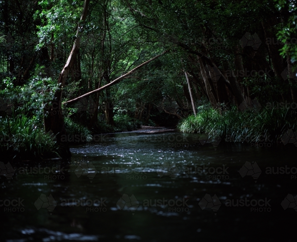 Image of Orara River - Austockphoto