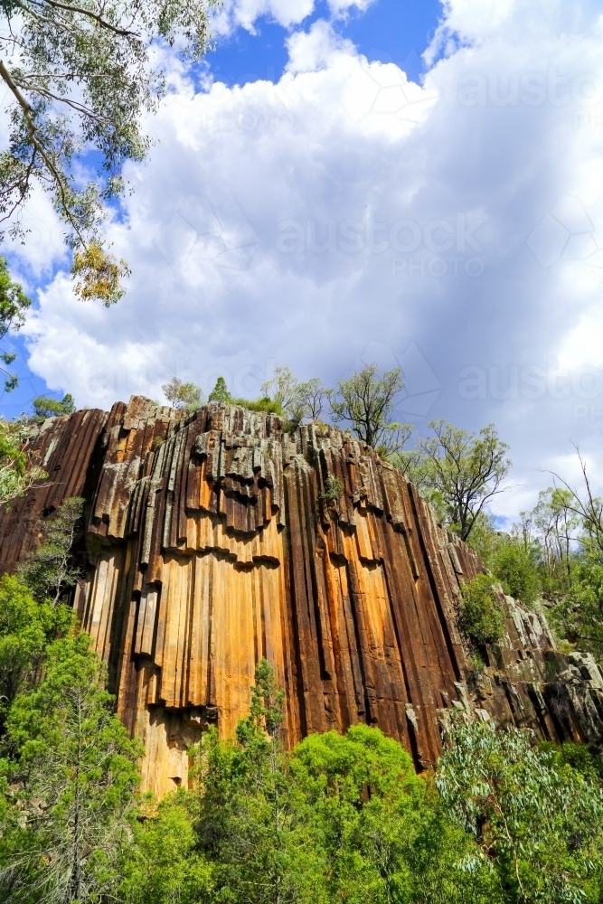 Image of Organ-pipes or columnar jointing of Sawn Rocks, Kaputar ...
