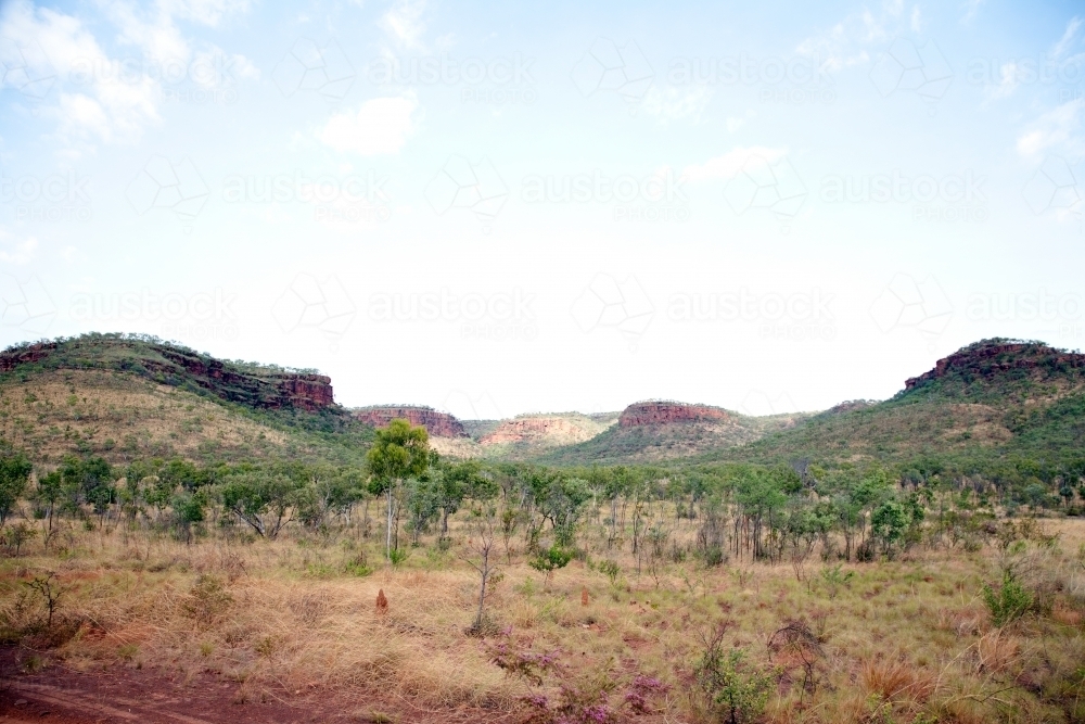 Image of Outback scene with mountains trees and dry grass - Austockphoto