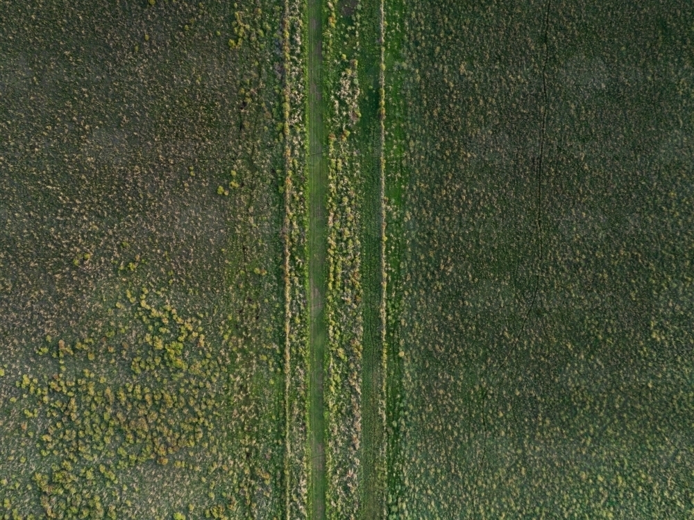 Image of Overhead aerial view of green farm trail through pastoral ...