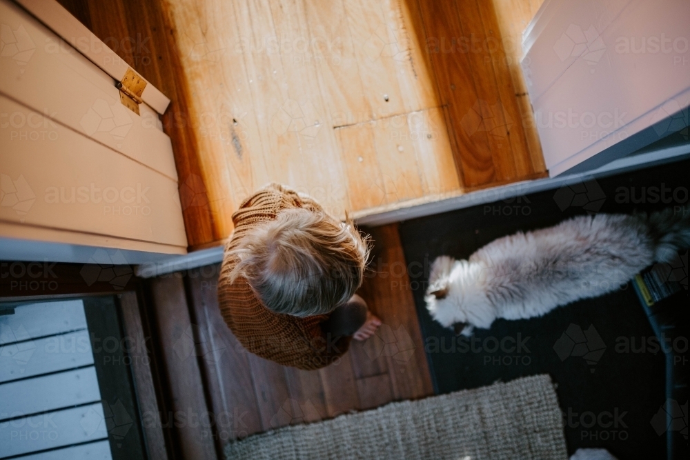 Image of Overhead shot of boy and cat in hallway - Austockphoto