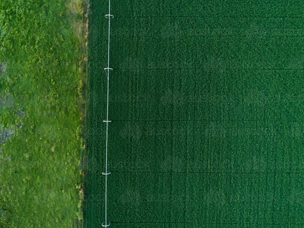 Image of Overhead view of green paddock with farm irrigation system at ...