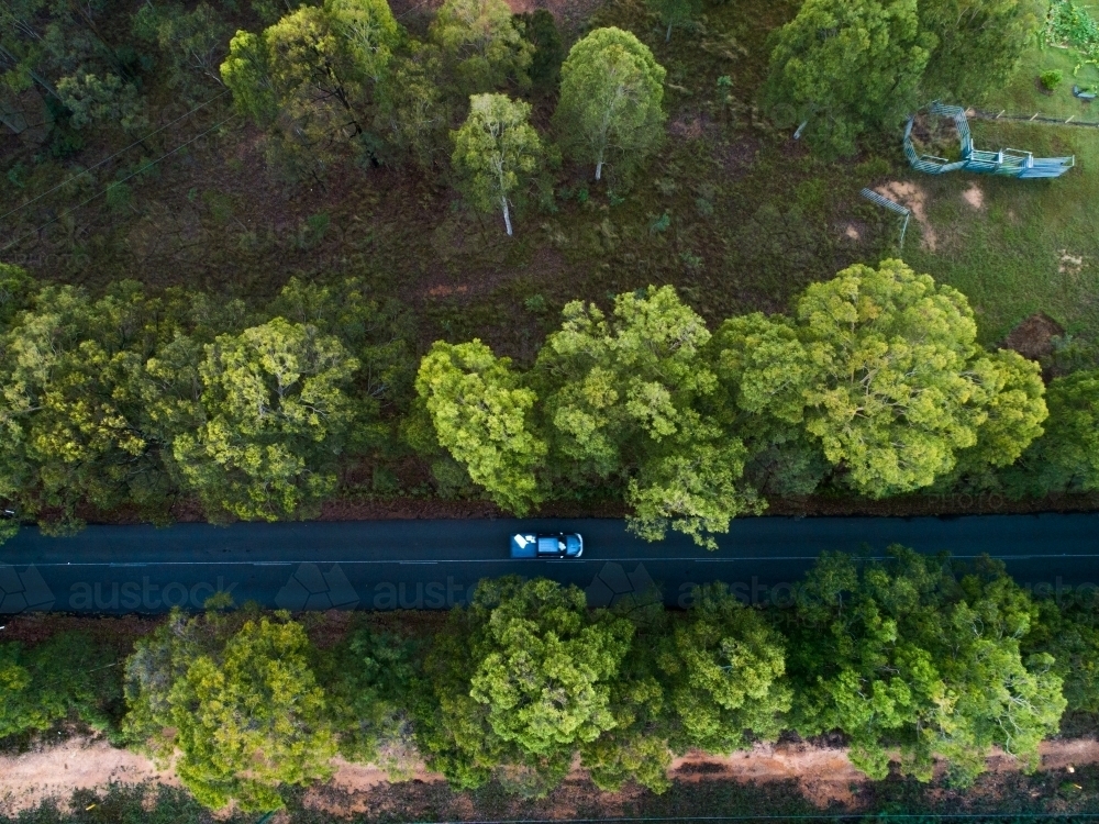Image of Overhead view of ute travelling down country road lined with ...