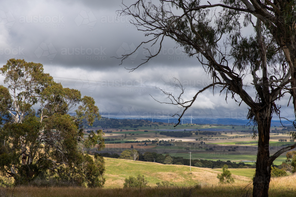 Image of overlooking White Rock Wind Farm - Austockphoto