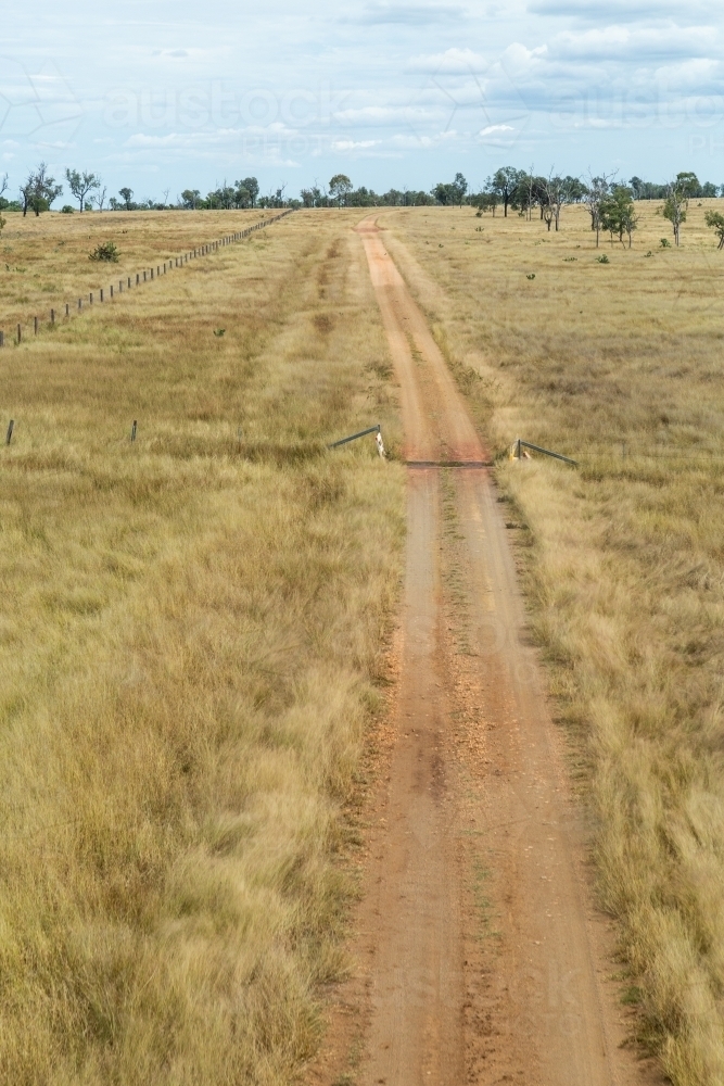 Image of Paddock and dirt road with cattle grid on farm. - Austockphoto