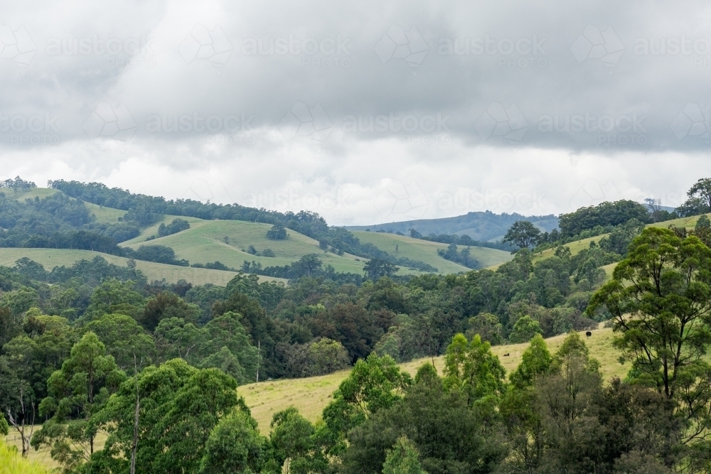 Image of Paddock and hills on overcast rainy morning - Austockphoto