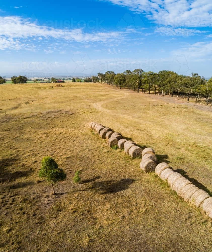 Image of Paddock landscape with row of round hay bales on farm ...