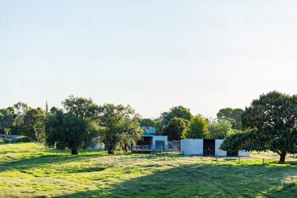 Image of Paddock with farm shed building and livestock yards - Austockphoto