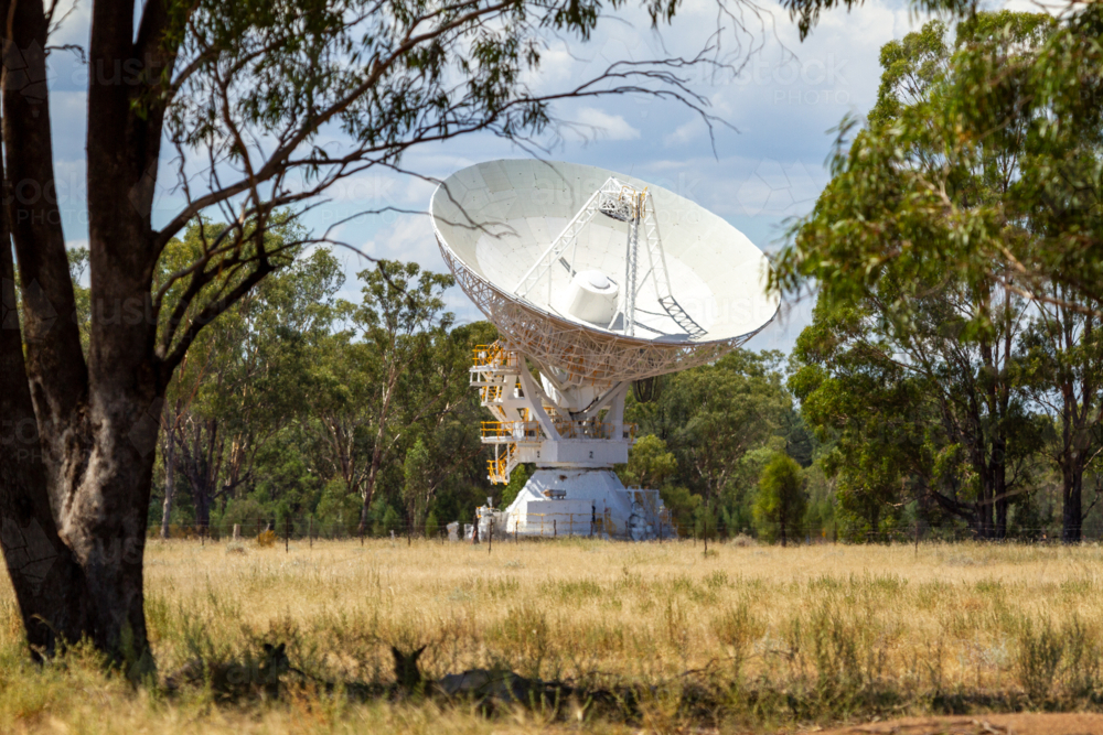 Image of Paddock with Radio telescope, and kangaroos resting in shade ...