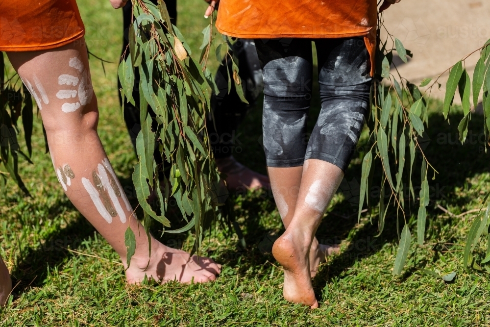 Image of Painted legs of first nations dancers holding gum leaves for ...