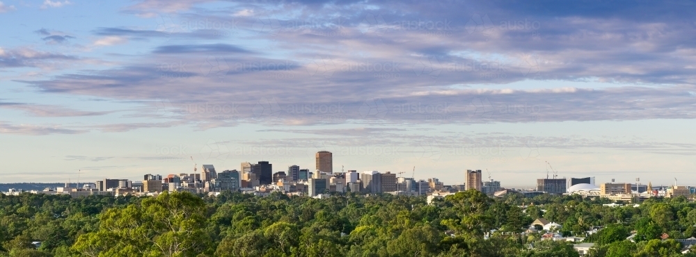 Image of Panoramic view of the Adelaide skyline from a distance ...