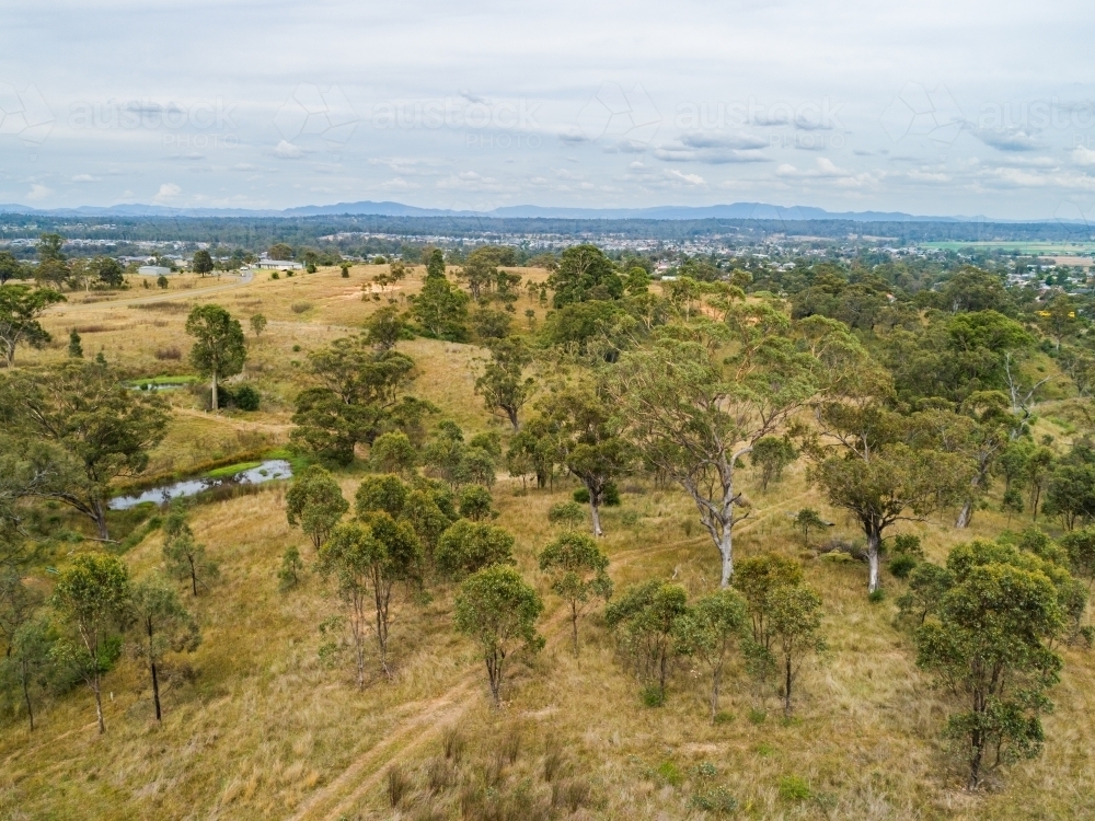 Image of path through bland paddock in rural area with gum trees ...