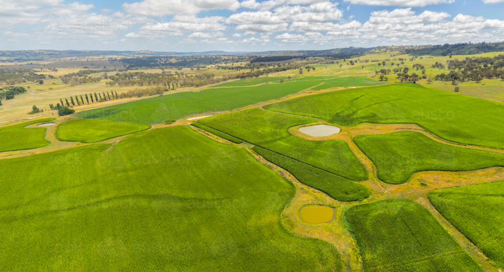 Image of Patterns from the sky of Corn farm near Glen Innes, New South ...