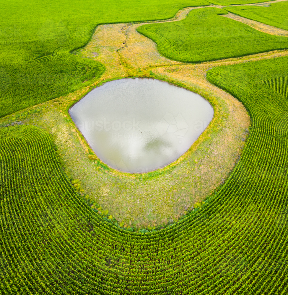 Image of Patterns from the sky of Corn farm near Glen Innes, New South ...