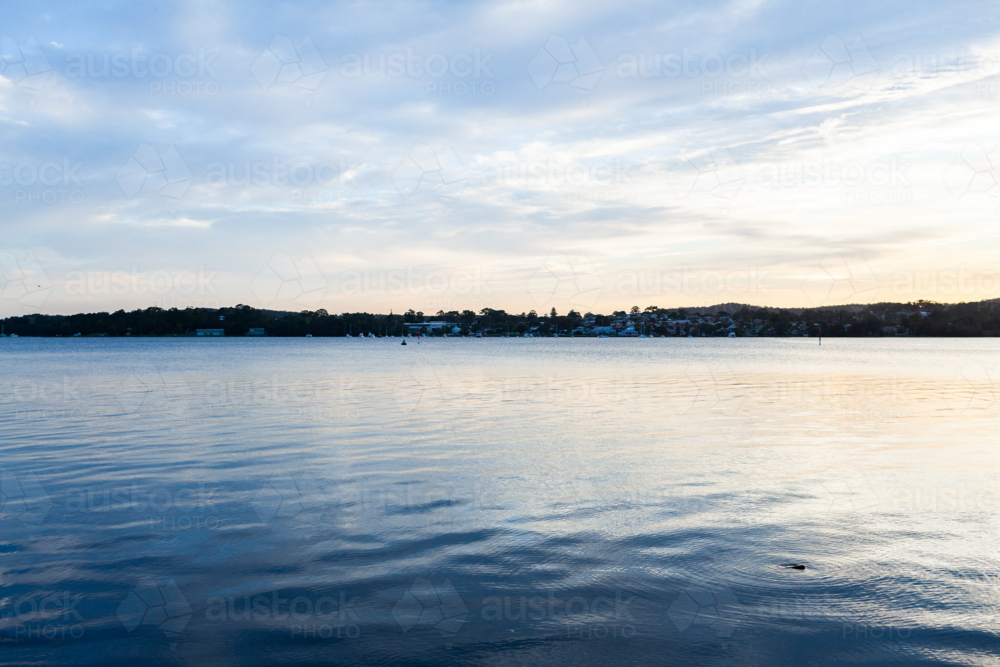 Image of Peaceful evening scene looking over water at cockle bay from ...