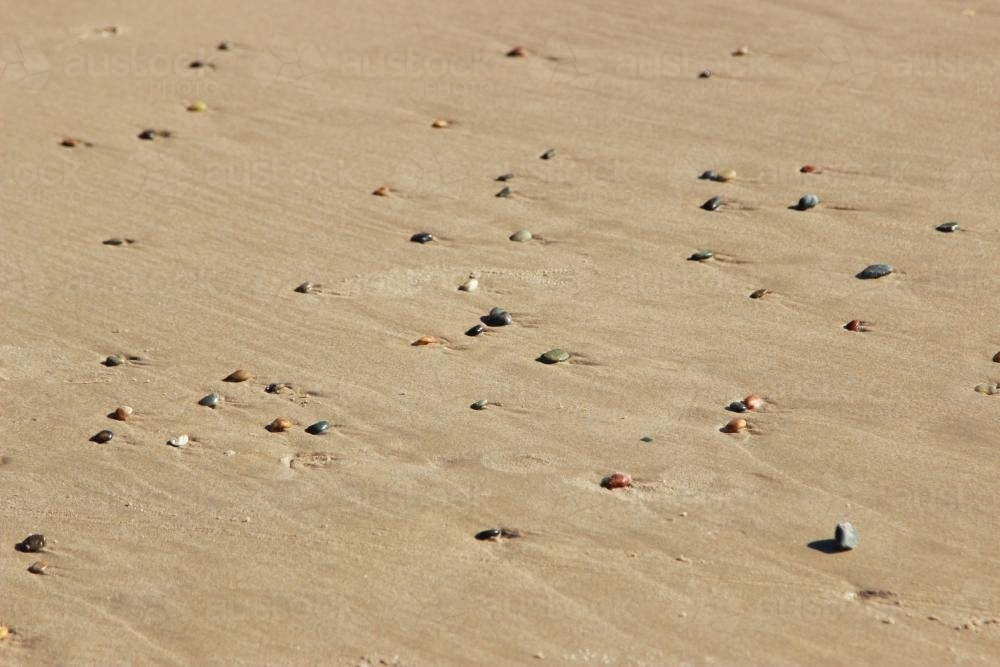Image of Pebbles washed up on the sand by the tide - Austockphoto