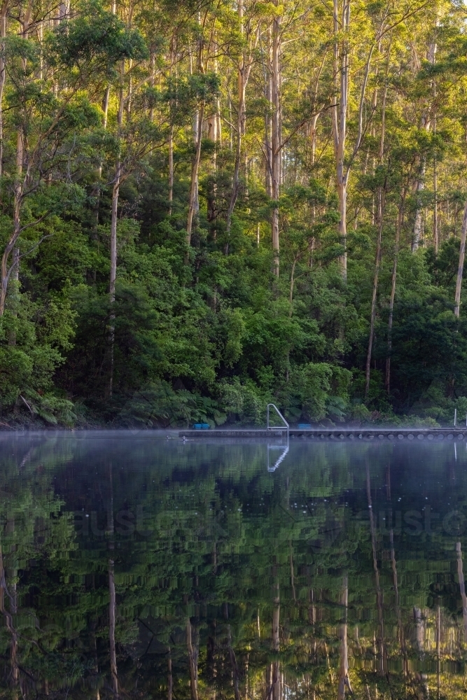 Image of Pemberton pool with still water and reflections of tall trees ...