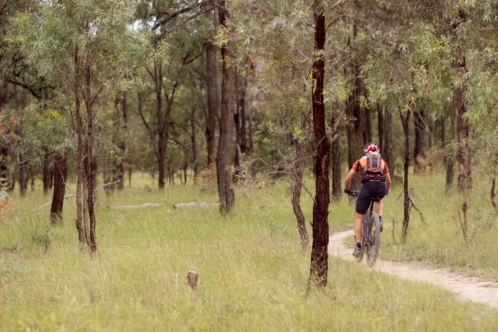 Image of Person riding push bike on mountain bike track in the bush ...