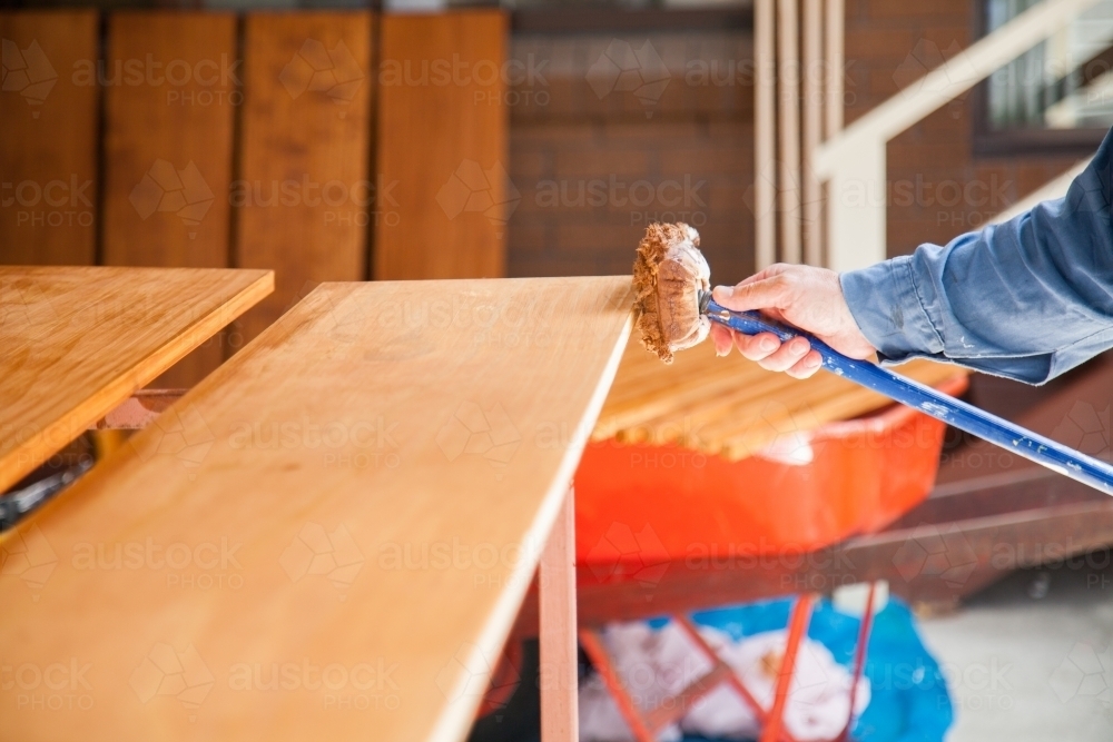 Image of Person staining timber applying wood stain to board - Austockphoto